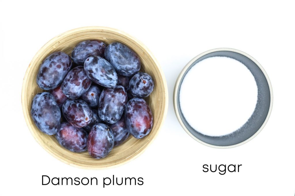 Damson Plum Sorbet | the right way – Ask the Ice Cream Queen